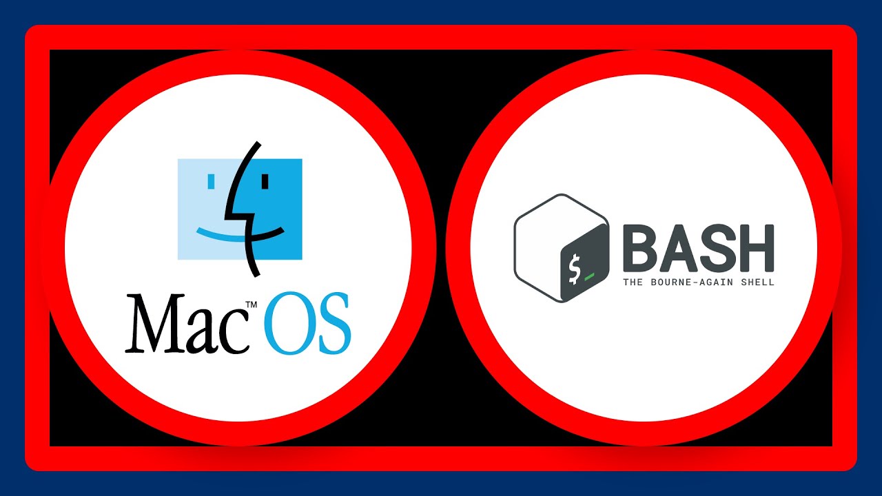 How to solve: -bash: : cannot execute binary file