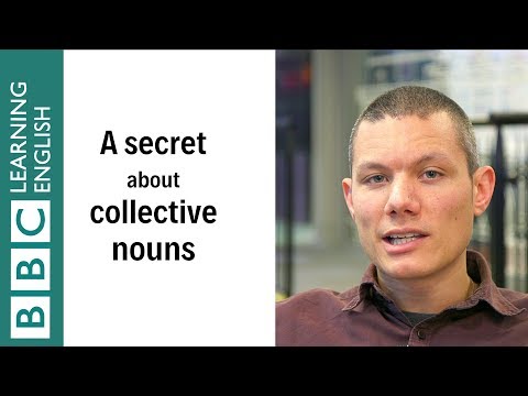 A secret about collective nouns - English In A Minute