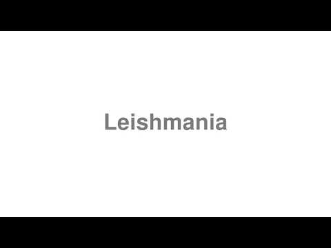 How to Pronounce "Leishmania"
