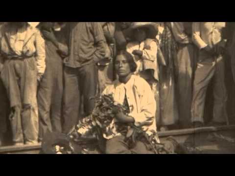 La cucaracha Villista – harnizo