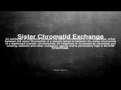 Medical vocabulary: What does Sister Chromatid Exchange mean