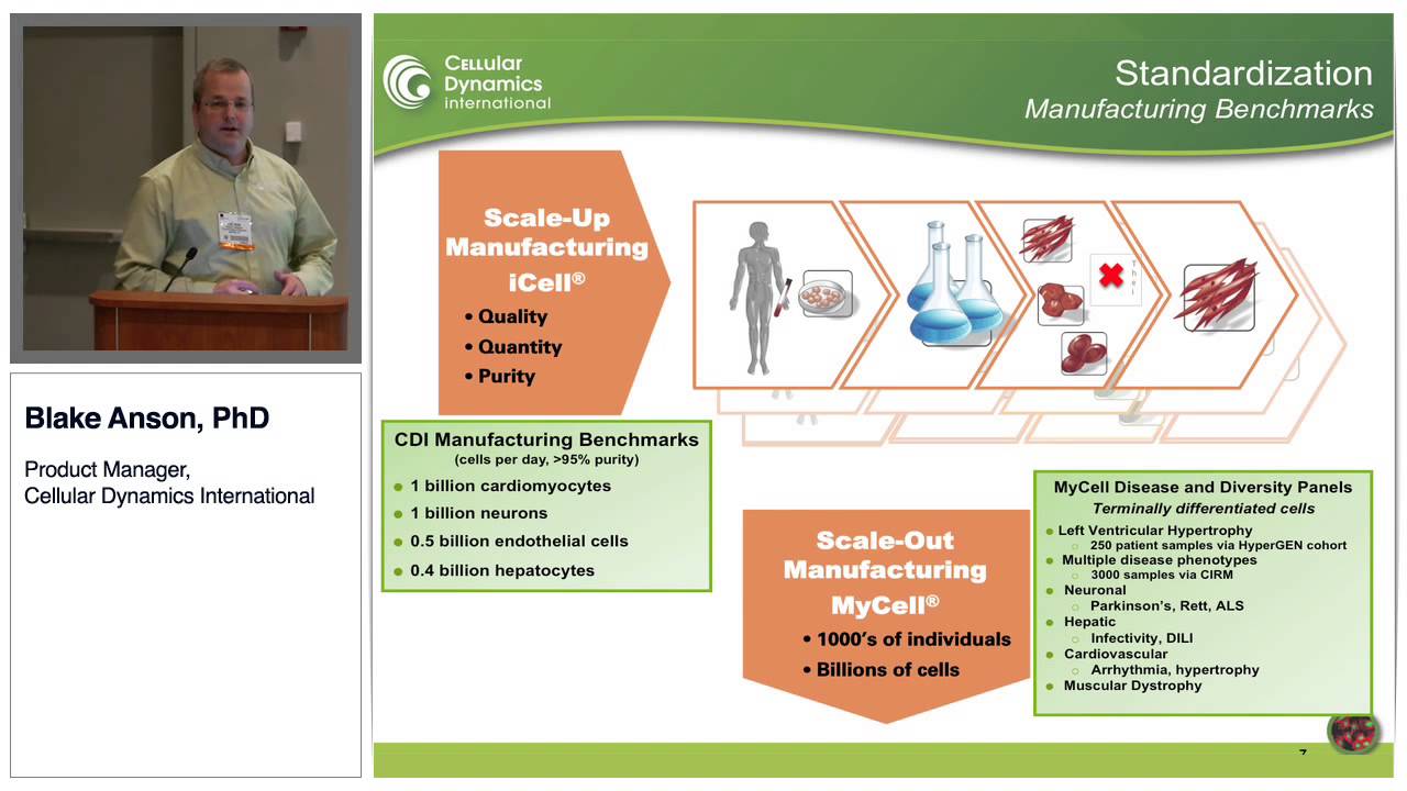 Integrating Target-based and Phenotypic Screening Strategies with Human Cardiomyocytes