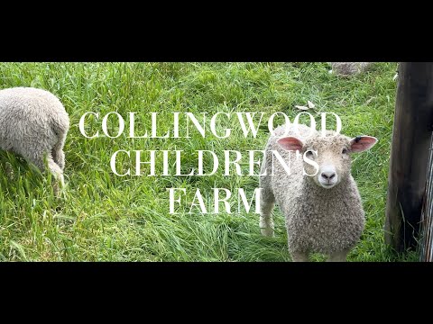 Exploring Collingwood Children’s Farm: Melbourne’s Hidden Gem