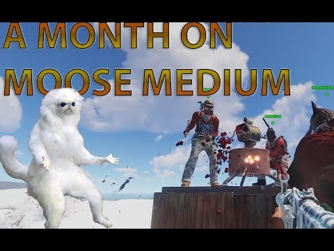Steam Community :: Video :: A MONTH ON MOOSE MEDIUM | RUST