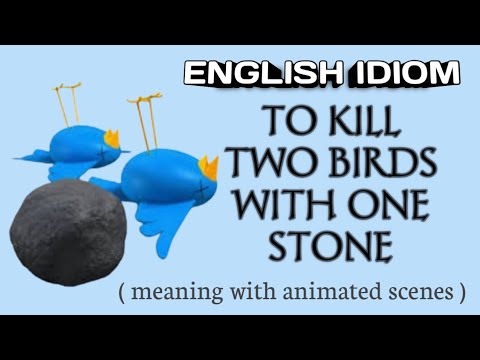 English idiom : To kill two birds with one stone | meaning with animated scenes
