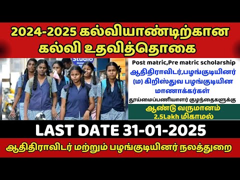 🔥 TN Sholarship 2024-25 |TN State Govt Scholarship Pre & Post Matric | Apply Online #sholarship2025