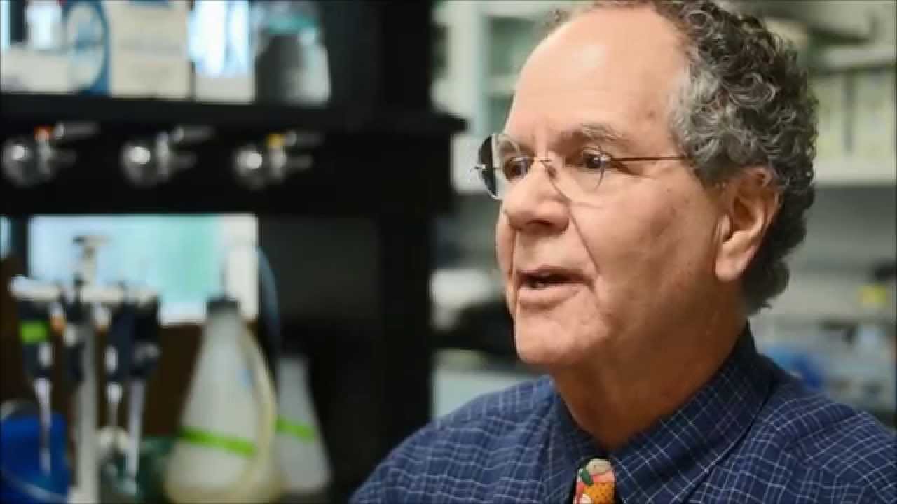 GGC Video Research clip