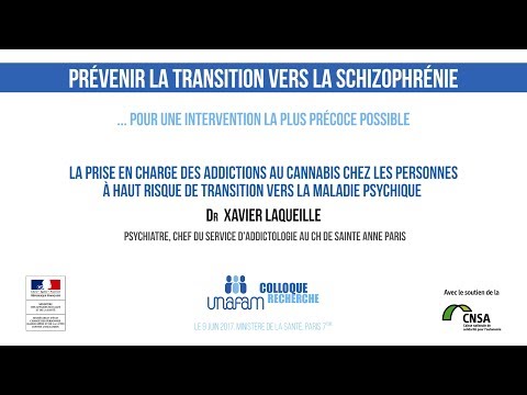 13 - La prise en charge des addictions au cannabis chez les personnes à haut risque...
