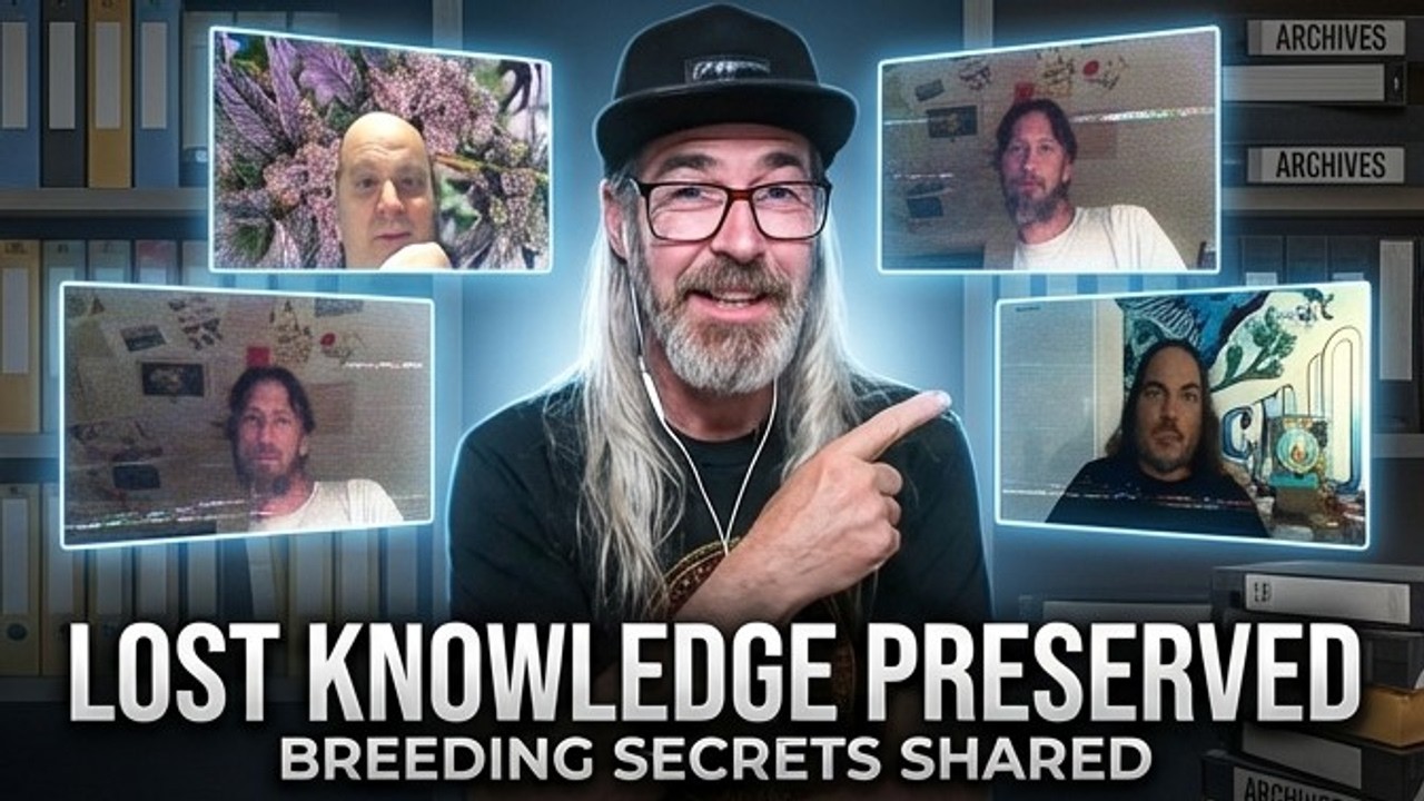 Breeding Discussion ft. Ryan Lee, SunGrownMidz, & Mean Gene w/ Chad Westport : Spider Farmer