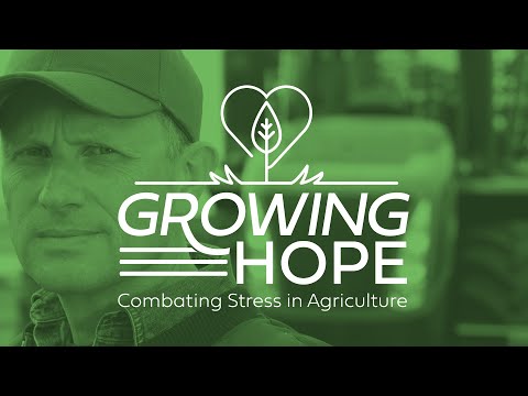 Studio Productions – BRAIN WEASELS MEDIA