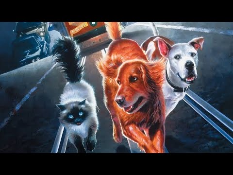 Homeward Bound II: Lost in San Francisco Full Movie Facts & Verdict | Robert Hays | Kim Greist