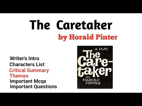 The Caretaker by Harold Pinter (Urdu) (Hindi) | The Caretaker Summary and Analysis in detailed