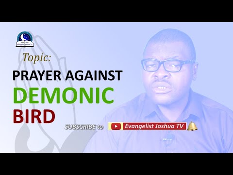 Best Prayers Against Demonic Birds - Scattering The Agenda Of Bird of Darkness