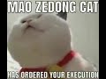 Steam Workshop::MAO ZEDONG CAT HAS ORDERED YOUR EXECUTION