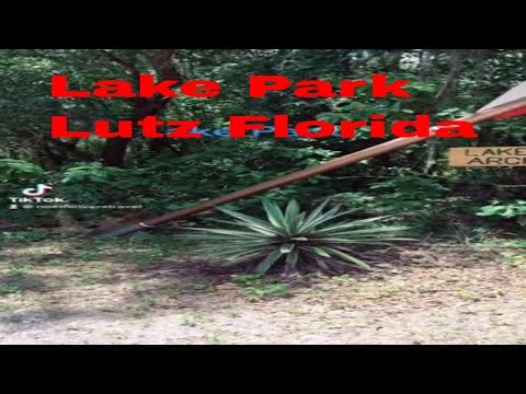 Walking at Lake Park Lutz Florida