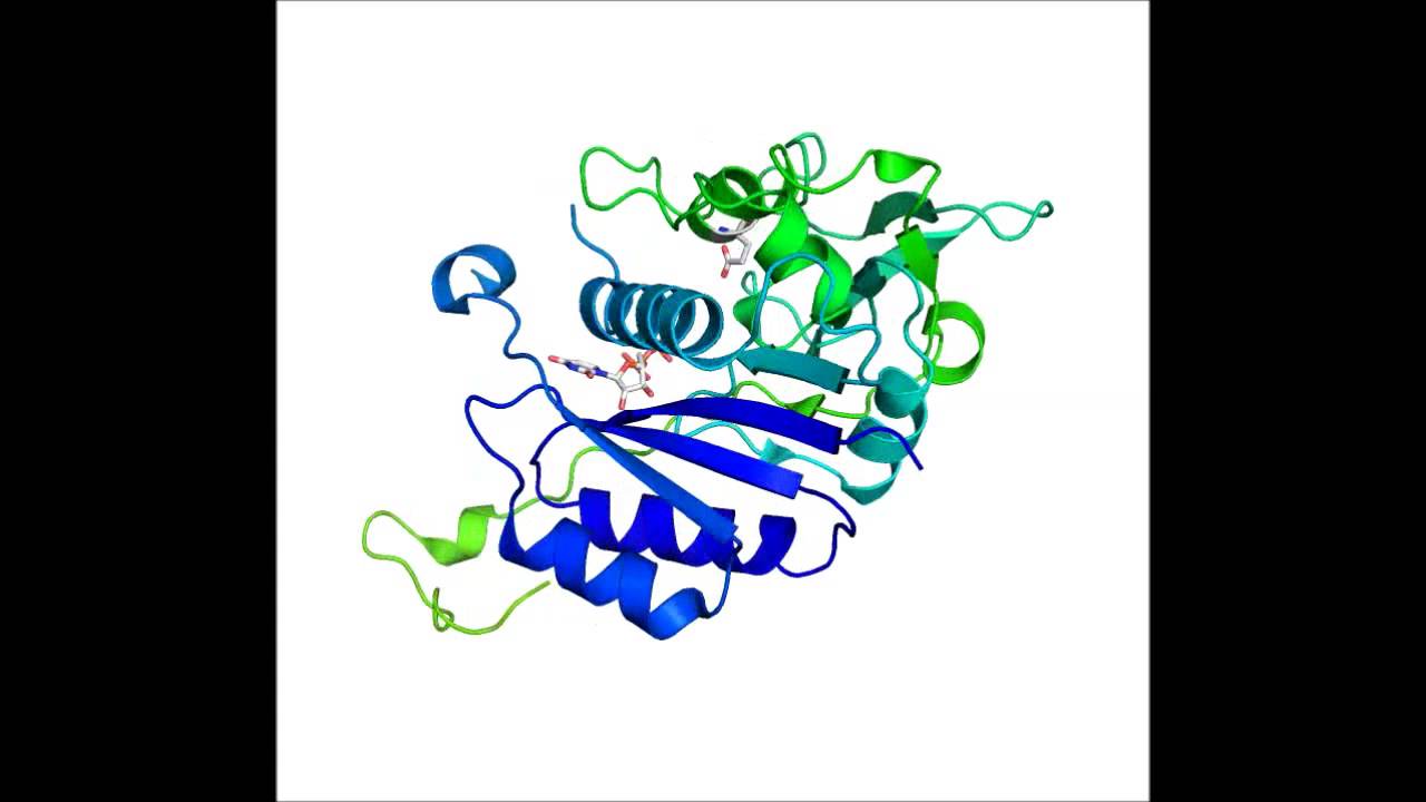 PLoS ONE : Whole Transcriptome Analysis Using Next-Generation Sequencing of Sterile-Cultured...