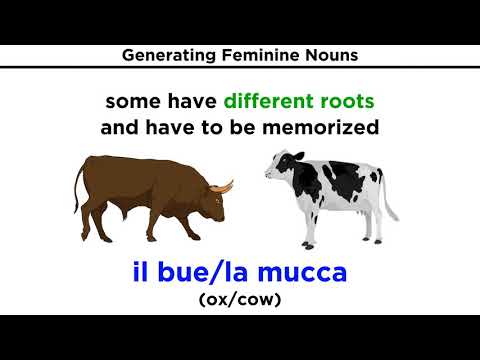 Feminine Nouns in Italian
