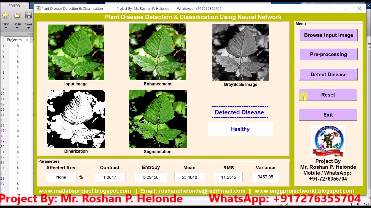 Plant Disease Detection using Neural Network Matlab Source Code