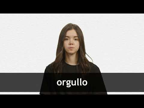 English Translation of “ORGULLO” | Collins Spanish-English Dictionary