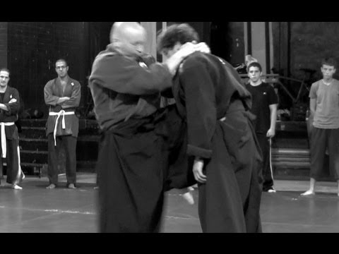 Ninjutsu Kicks | AKBAN