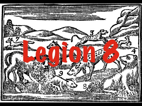 Legion 8 (Vocabulary) – SCHOOL of LATIN