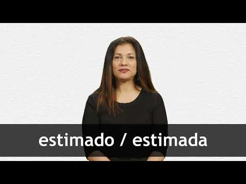 English Translation of “ESTIMADO” | Collins Spanish-English Dictionary