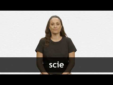 English Translation of “SCIE” | Collins French-English Dictionary