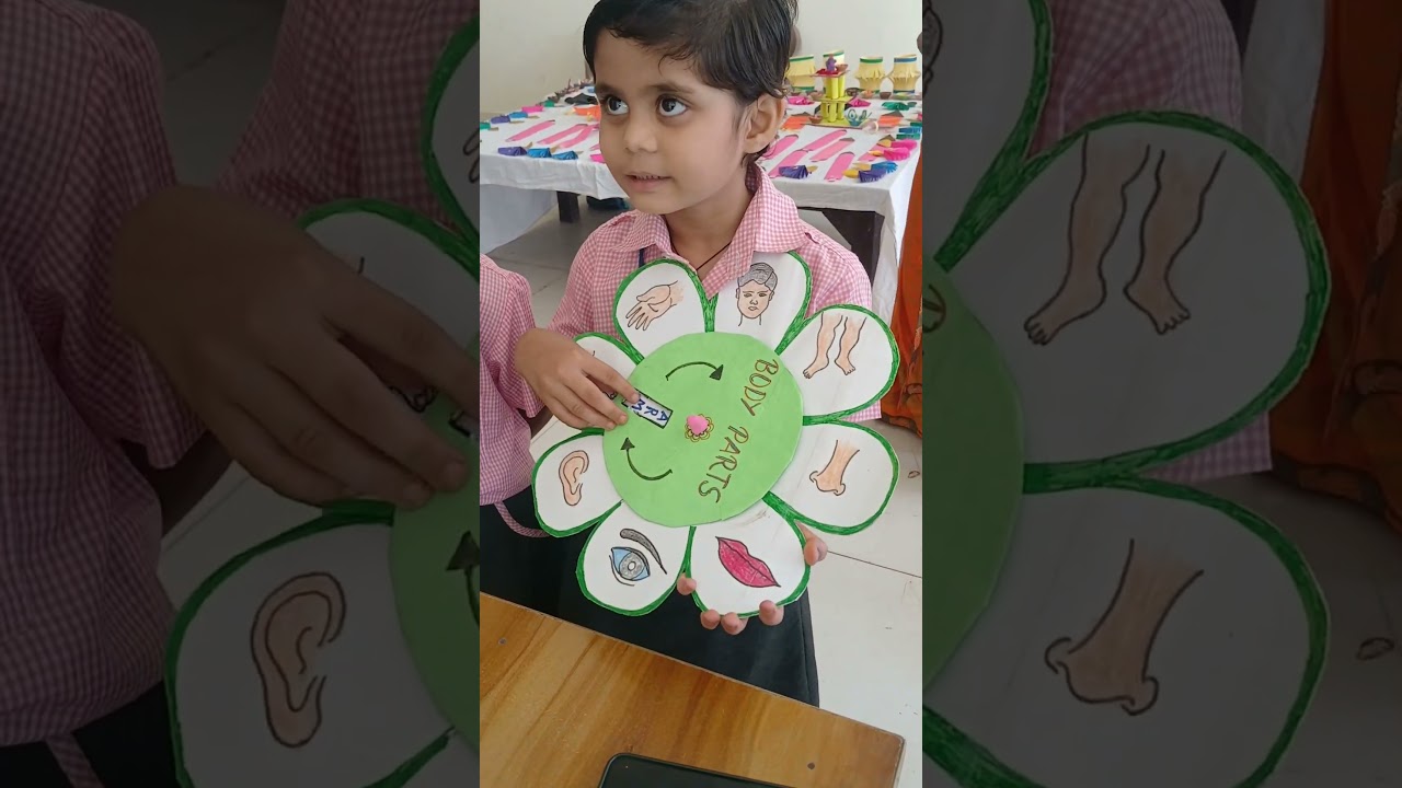 Body parts tlm #schoolactivities #scienceexhibitionmodel #tlm #bodyparts #science #model