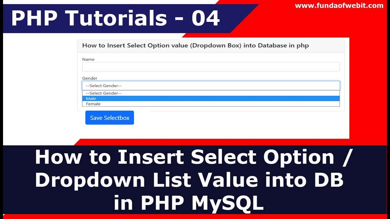 How to Insert Select Option / Dropdown List Value into database in PHP MySQL | PHP Tutorials - 4