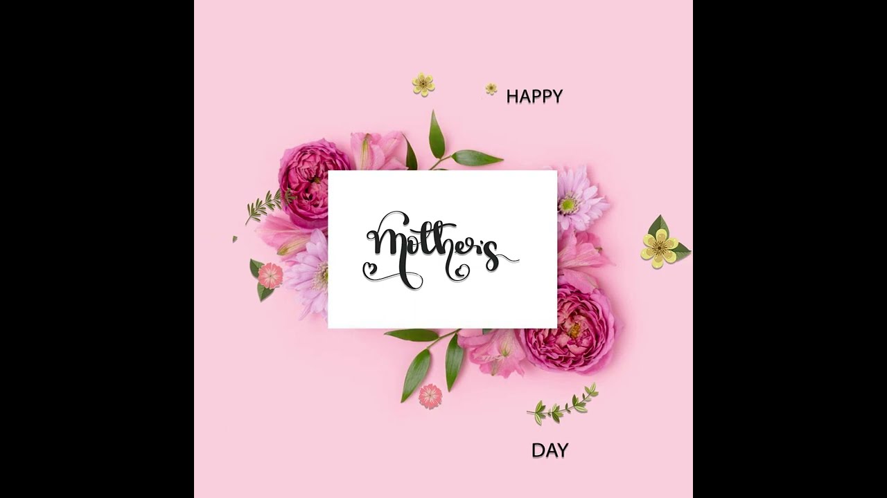 Happy Mothers Day Flower and Calligraphy Pink Banner. Vector Chamomile Blossom Decoration for Mother