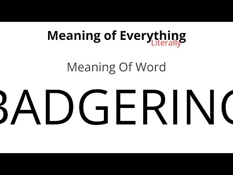 Meaning of Word - Badgering Meaning