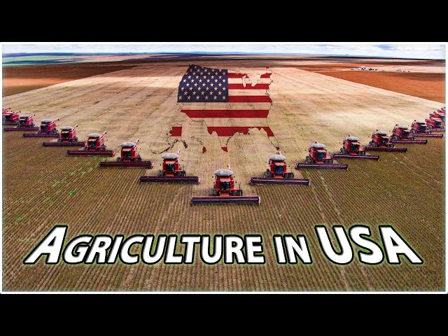 Exploring the Major Crops of American Agriculture | Galaxy.ai