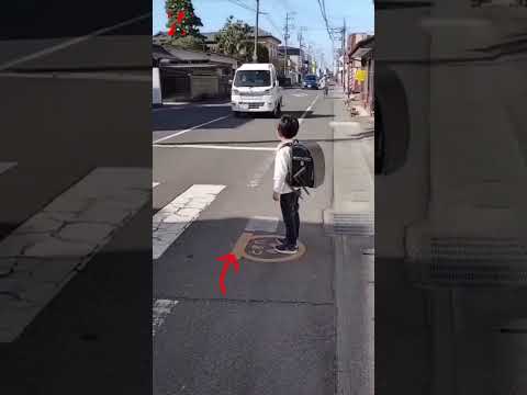Amazing Road cross in japan #japan #facts #ytshorts #road