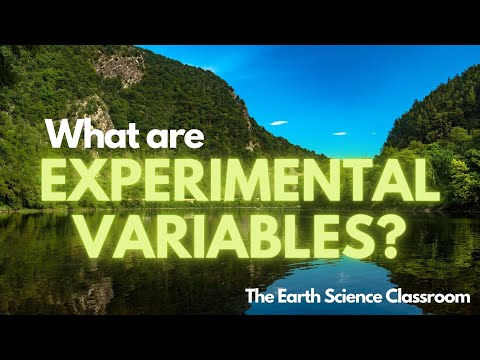 In An Experiment, What Are the Variables?