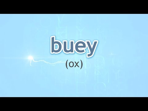 How to Pronounce Ox (Buey) in Spanish