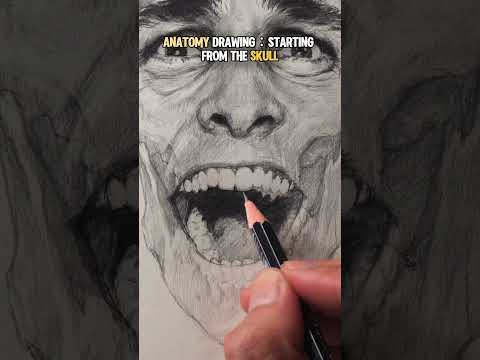 ANATOMY DRAWING: STARTING FROM THE SKULL#anatomy #art #sketch