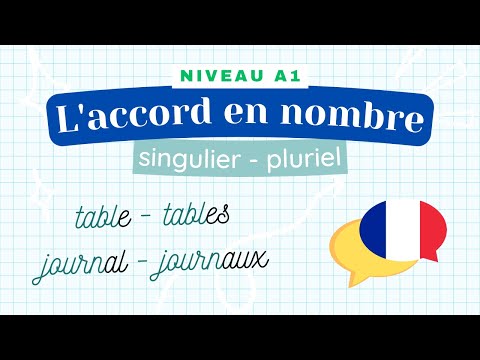 Le singulier et le pluriel des noms - Leçon de français (Niveau A1) - Cours de grammaire