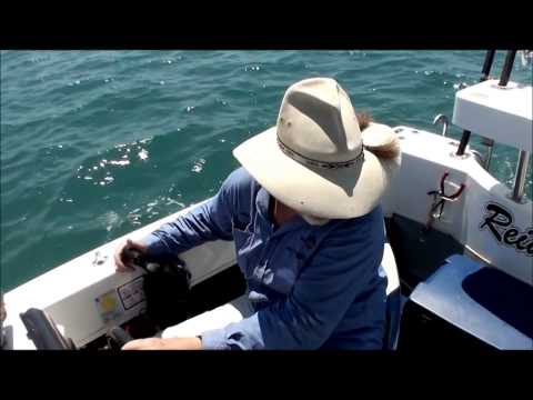 60HP Yamaha Outboard Review and 485 Streaker Boat!!