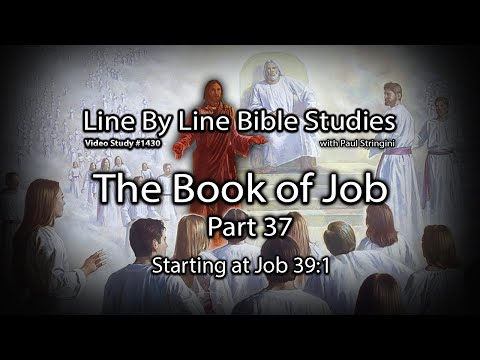 The Book of JOB - Bible Study 37 - Beginning at Job 39:1