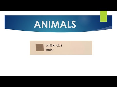 N'syilxcen Flashcards Animals