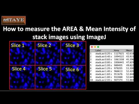 How to measure the AREA and Mean Intensity of Stack Images using ImageJ