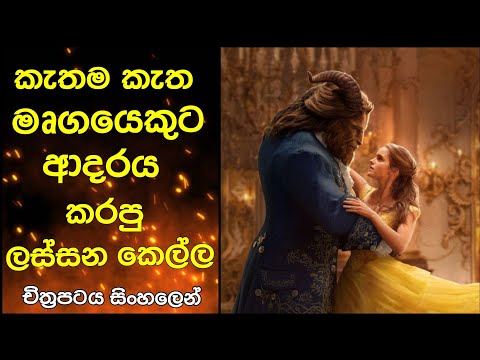 හැඩකාරිය සහ අවලස්සන මෘගයෙකුගේ සොදුරු ආදරය beauty and the beast movie review