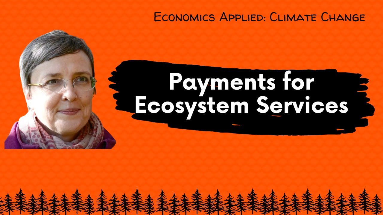 Episode 1 - Payments For Ecosystem Services