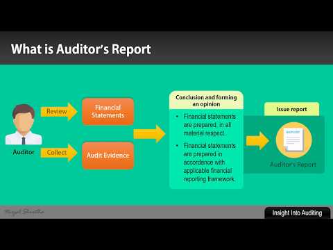 What is an Auditor's Report