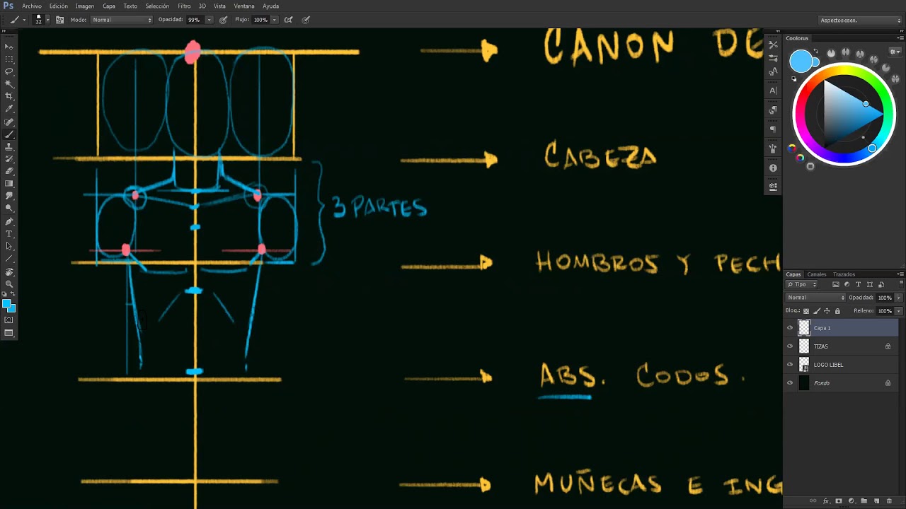 ANATOMIA ( FUNDAMENTOS DE FIGURA HUMANA MASCULINA Y FEMENINA )