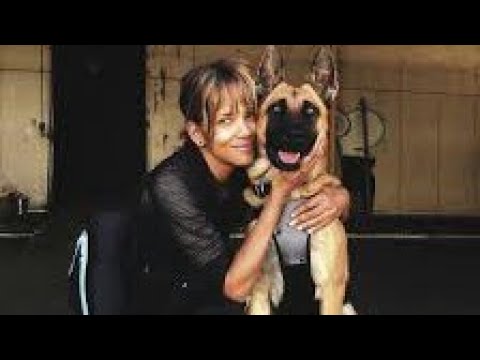 How they trained the dogs in John Wick 3
