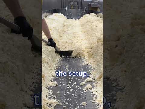 3️⃣ Making Cheese Curds #curds #fromageengrains #stalbertcheese #factory #food #fresh #milk #cheddar