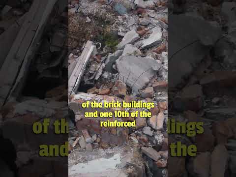 The Great Tokyo-Yokohama Earthquake of 1923