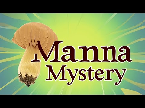 Biblical Manna: Divine Food or Earthly Mushroom?