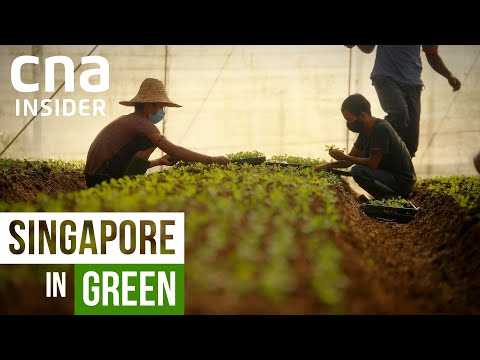 How Can Singapore Be Truly Green? | Singapore In Red, Green And Blue | Full Episode